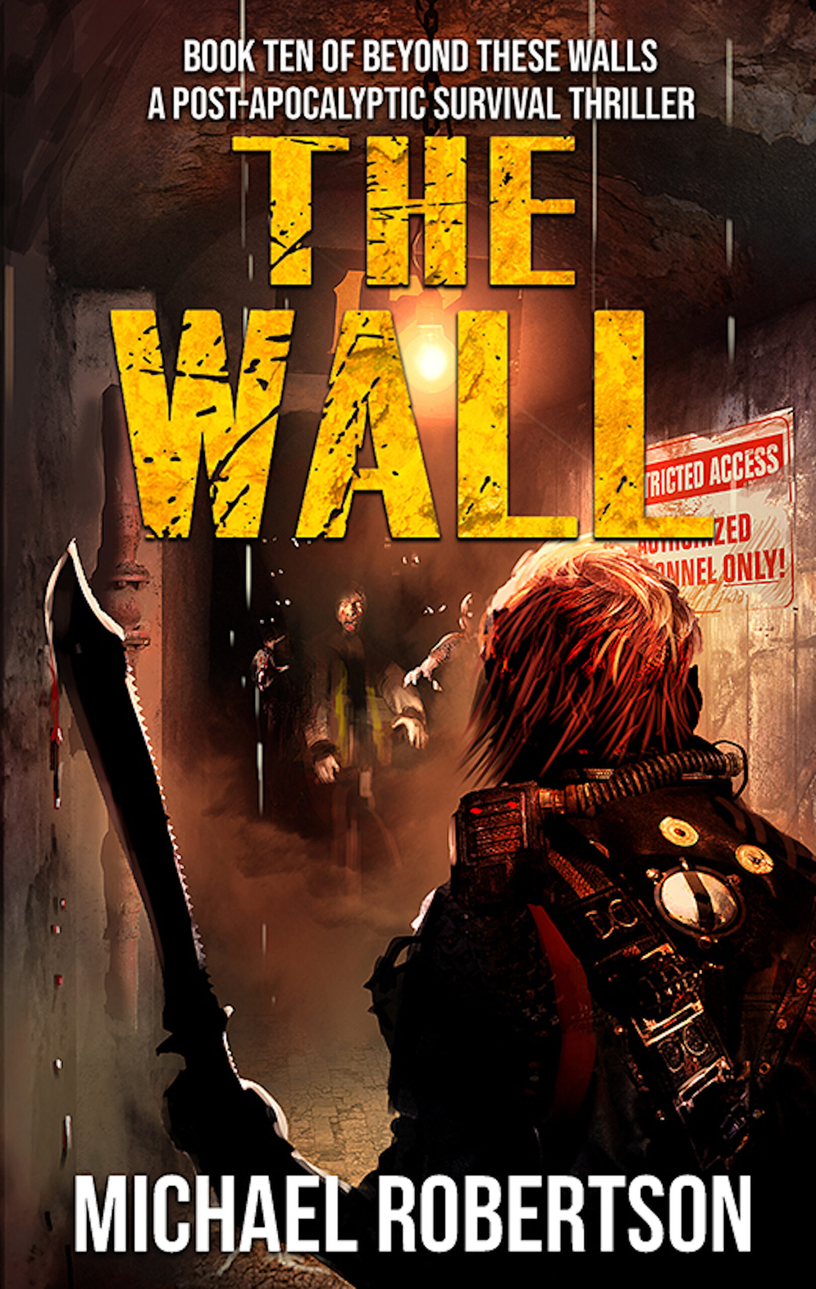 BEYOND THESE WALLS – A SERIES OF POST-APOCALYPTIC SURVIVAL THRILLERS ...